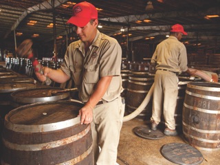 TABASCO® Brand Original Red Sauce | Hot Sauce | TABASCO® Brand